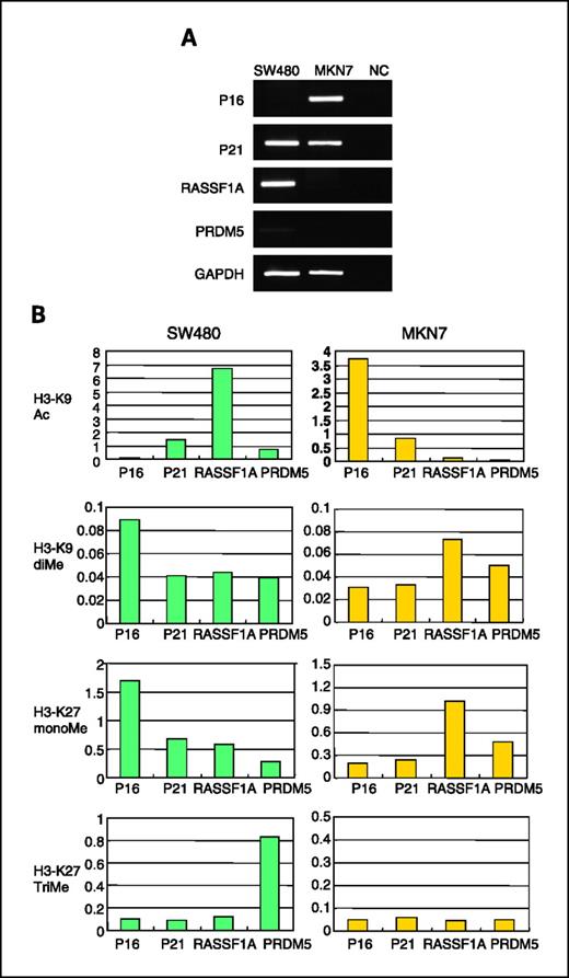 PRDM5 Identified as a Target of Epigenetic Silencing in Colorectal and ...