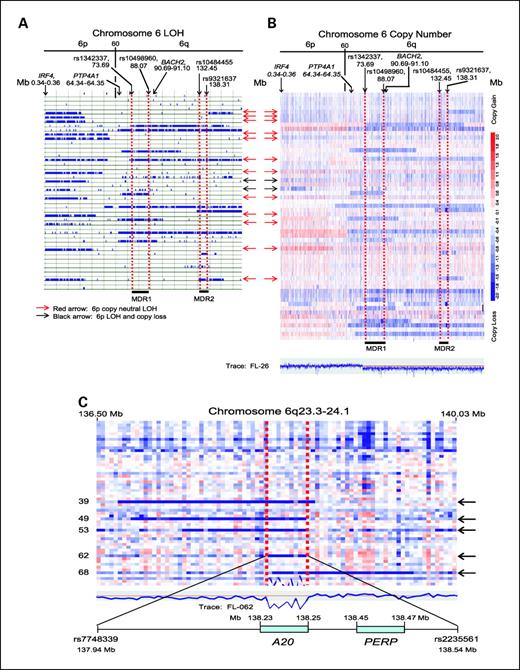 Comprehensive Analysis of Copy Number and Allele Status Identifies ...