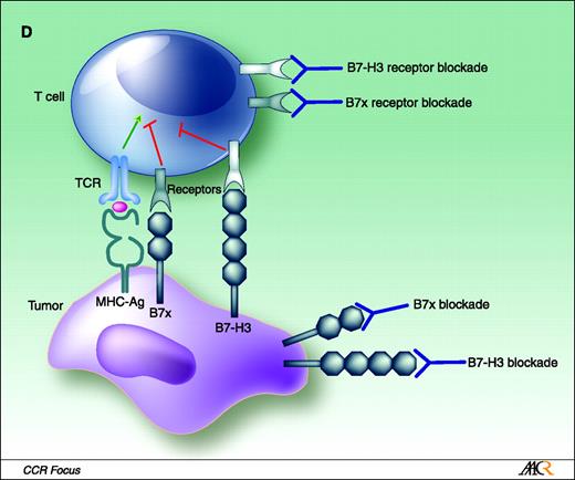 The B7 Family and Cancer Therapy: Costimulation and Coinhibition ...
