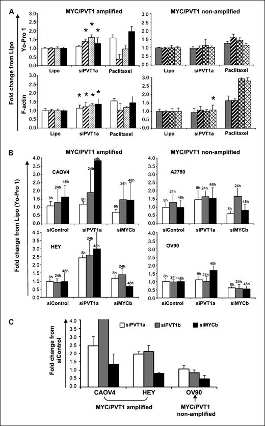 Amplification of PVT1 Contributes to the Pathophysiology of Ovarian and ...