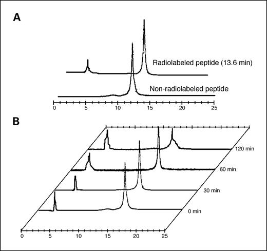 Evaluation of an 111In-Radiolabeled Peptide as a Targeting and Imaging ...