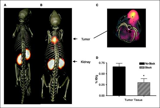 Evaluation of an 111In-Radiolabeled Peptide as a Targeting and Imaging ...