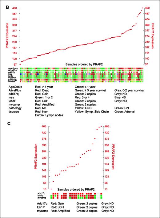 Expression of Prenylated Rab Acceptor 1 Domain Family, Member 2 (PRAF2 ...