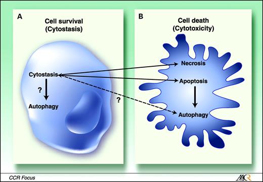 Is Cell Death a Critical End Point for Anticancer Therapies or Is ...