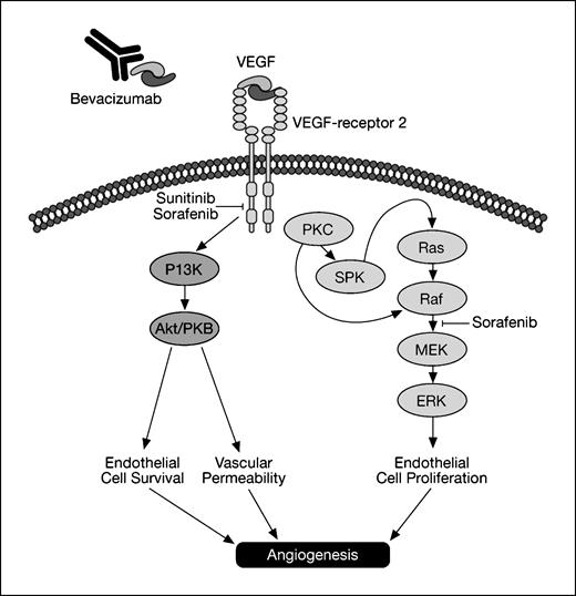 Vascular Endothelial Growth Factor–Targeted Therapy in Renal Cell ...