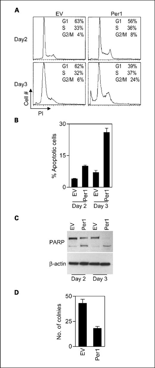 Epigenetic Silencing of the Candidate Tumor Suppressor Gene Per1 in Non ...