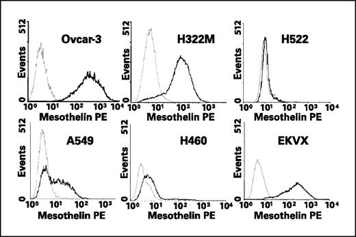 Mesothelin Expression in Human Lung Cancer | Clinical Cancer Research ...