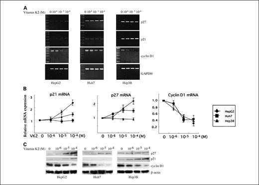 Menatetrenone, a Vitamin K2 Analogue, Inhibits Hepatocellular Carcinoma ...