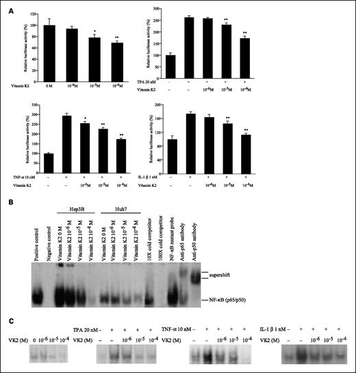 Menatetrenone, a Vitamin K2 Analogue, Inhibits Hepatocellular Carcinoma ...