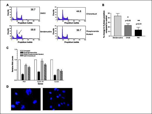 Bendamustine (Treanda) Displays a Distinct Pattern of Cytotoxicity and ...