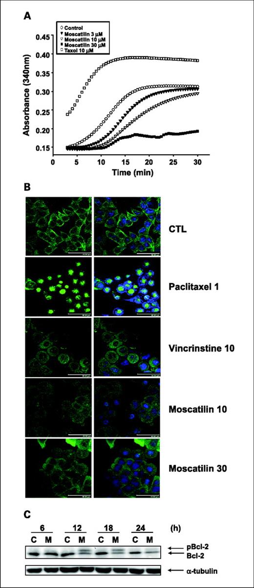 Moscatilin Induces Apoptosis in Human Colorectal Cancer Cells: A ...