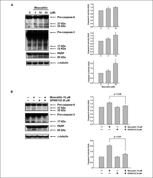 Moscatilin Induces Apoptosis in Human Colorectal Cancer Cells: A ...