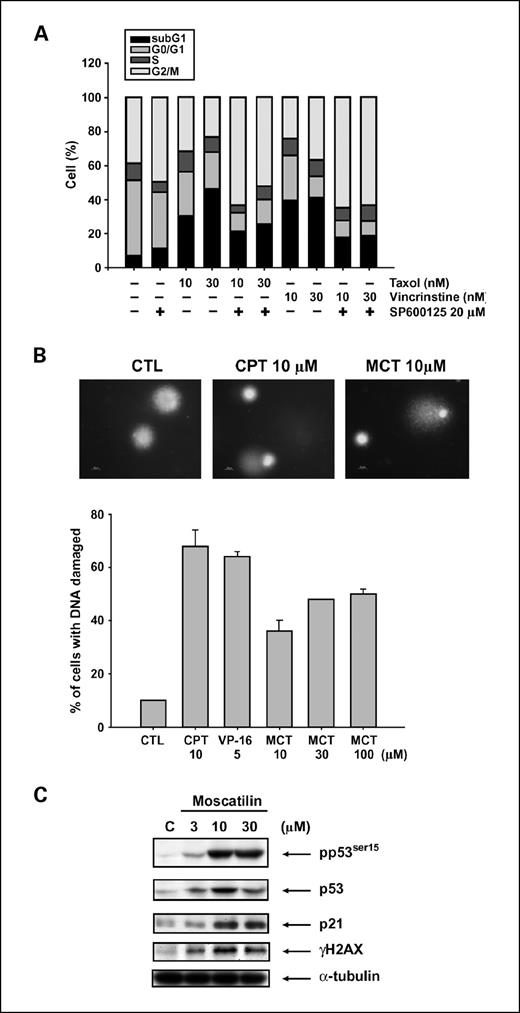 Moscatilin Induces Apoptosis in Human Colorectal Cancer Cells: A ...