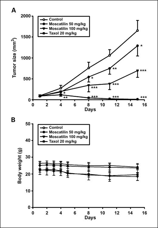 Moscatilin Induces Apoptosis in Human Colorectal Cancer Cells: A ...