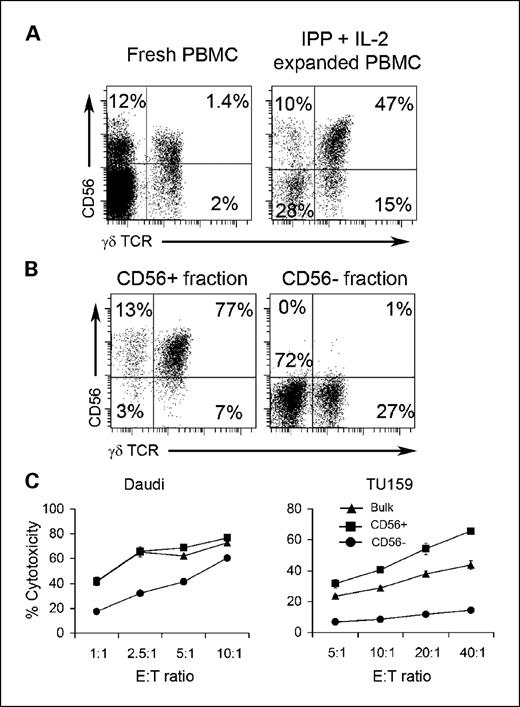 Isopentenyl Pyrophosphate–Activated CD56+ γδ T Lymphocytes Display ...
