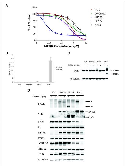 EML4-ALK Fusion Gene and Efficacy of an ALK Kinase Inhibitor in Lung ...