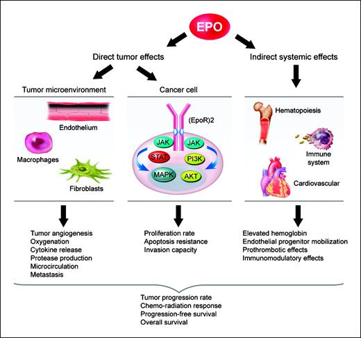 Erythropoiesis-Stimulating Agent Use in Cancer: Preclinical and ...