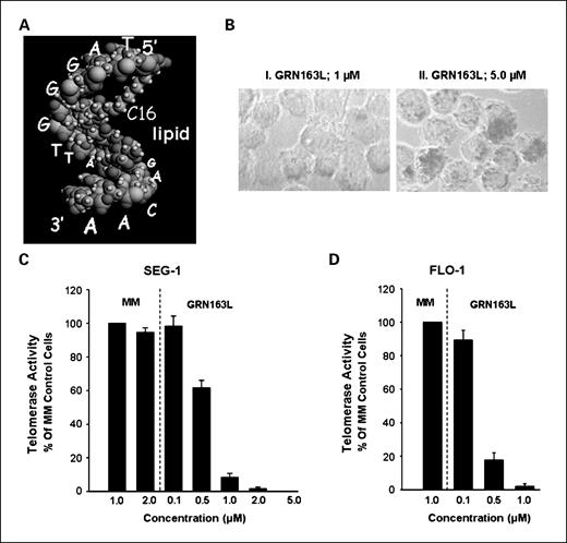 Telomere Maintenance in Laser Capture Microdissection–Purified Barrett ...