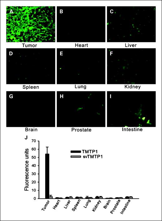 TMTP1, a Novel Tumor-Homing Peptide Specifically Targeting Metastasis ...