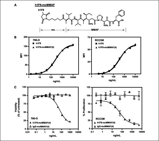 Potent Anticarcinoma Activity of the Humanized Anti-CD70 Antibody h1F6 ...
