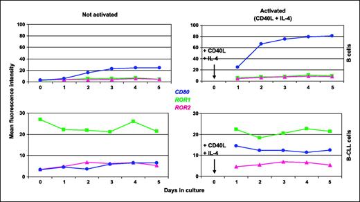 Unique Cell Surface Expression of Receptor Tyrosine Kinase ROR1 in ...