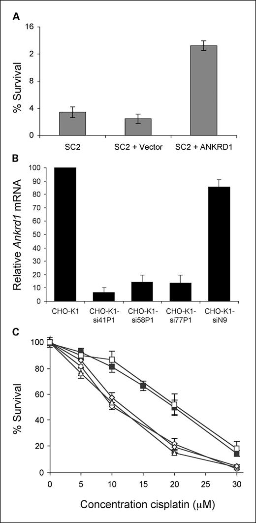 Ankyrin Repeat Domain 1, ANKRD1, a Novel Determinant of Cisplatin ...