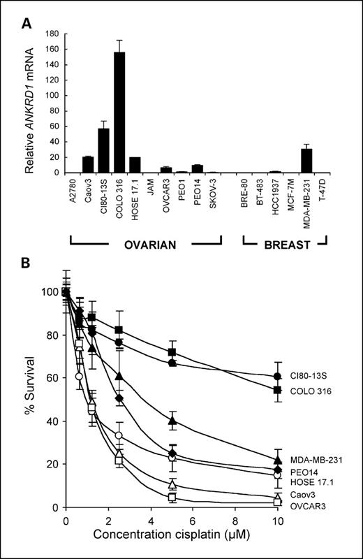 Ankyrin Repeat Domain 1, ANKRD1, a Novel Determinant of Cisplatin ...