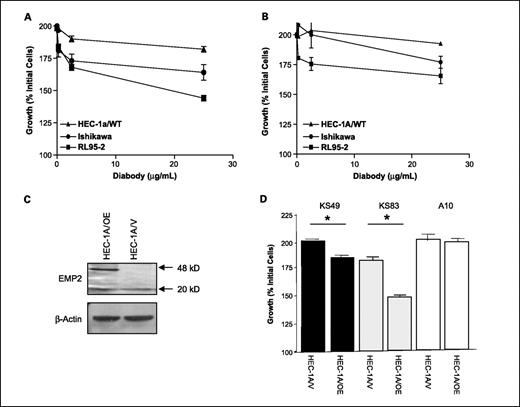 Diabodies Targeting Epithelial Membrane Protein 2 Reduce Tumorigenicity ...