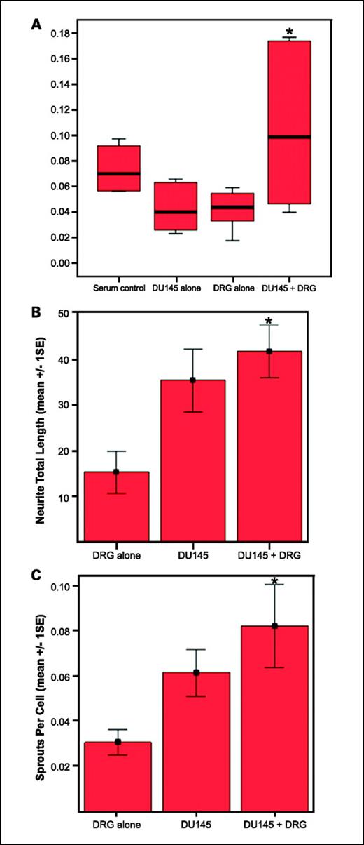 Cancer-Related Axonogenesis and Neurogenesis in Prostate Cancer ...