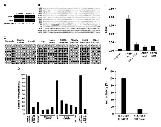 Claudin-18 Splice Variant 2 Is a Pan-Cancer Target Suitable for ...
