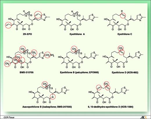 The Epothilones: Translating from the Laboratory to the Clinic ...