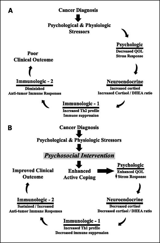 Stress, Immunity, and Cervical Cancer: Biobehavioral Outcomes of a ...