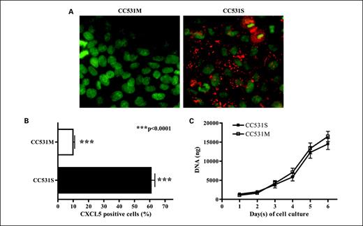 Disrupted Expression of CXCL5 in Colorectal Cancer Is Associated with ...