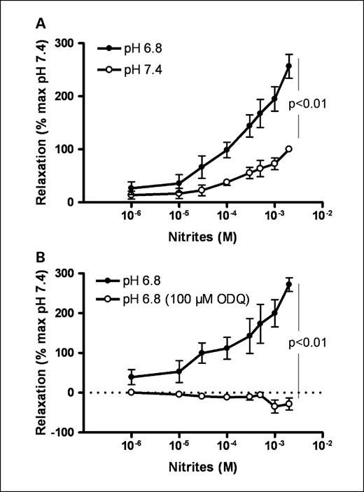 The Acidic Tumor Microenvironment Promotes the Reconversion of Nitrite ...