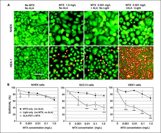 Low-Dose Methotrexate Enhances Aminolevulinate-Based Photodynamic ...