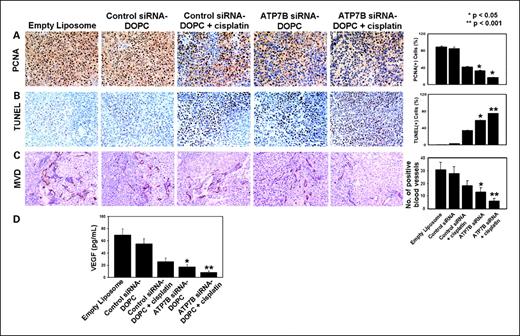 Therapeutic Targeting of ATP7B in Ovarian Carcinoma | Clinical Cancer ...