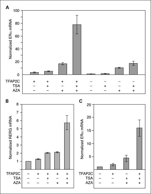 Interaction of TFAP2C with the Estrogen Receptor-α Promoter Is ...