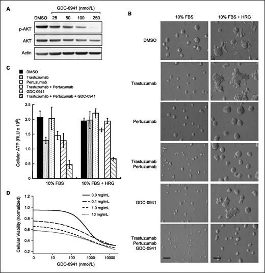 Suppression of HER2/HER3-Mediated Growth of Breast Cancer Cells with ...