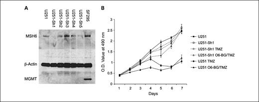 MSH6 Mutations Arise in Glioblastomas during Temozolomide Therapy and ...