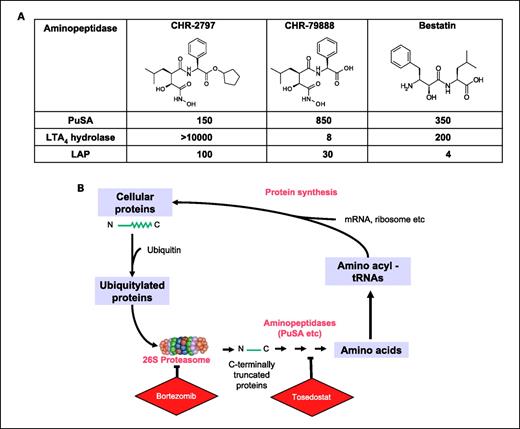 A First-in-Man Phase I and Pharmacokinetic Study on CHR-2797 ...