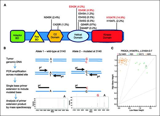 PIK3CA Mutation Associates with Improved Outcome in Breast Cancer ...