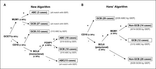 A New Immunostain Algorithm Classifies Diffuse Large B-Cell Lymphoma ...