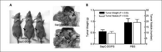 Cancer-Selective Targeting and Cytotoxicity by Liposomal-Coupled ...