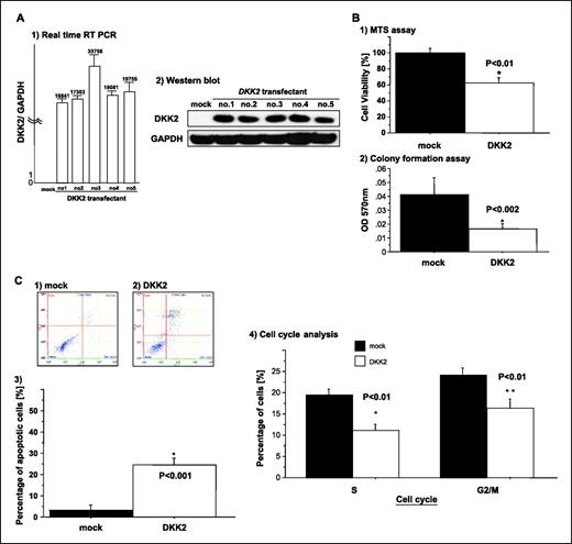 Wnt Antagonist Gene DKK2 Is Epigenetically Silenced and Inhibits Renal ...
