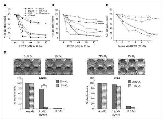 Identification of a Novel Small Molecule HIF-1α Translation Inhibitor ...