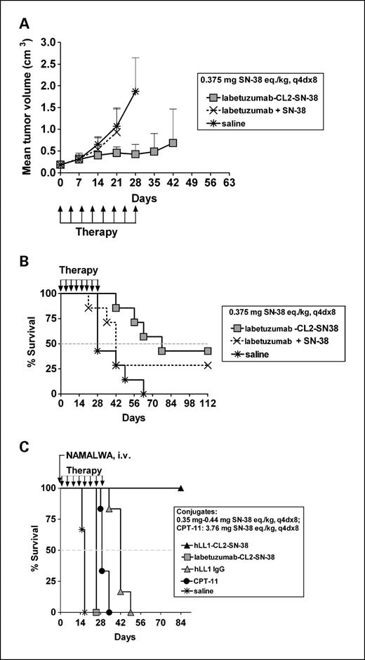 CEACAM5-Targeted Therapy of Human Colonic and Pancreatic Cancer Xenografts with Potent ...