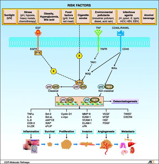 Targeting Inflammatory Pathways for Prevention and Therapy of Cancer ...