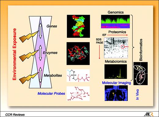 Clinical Applications of Metabolomics in Oncology: A Review | Clinical ...