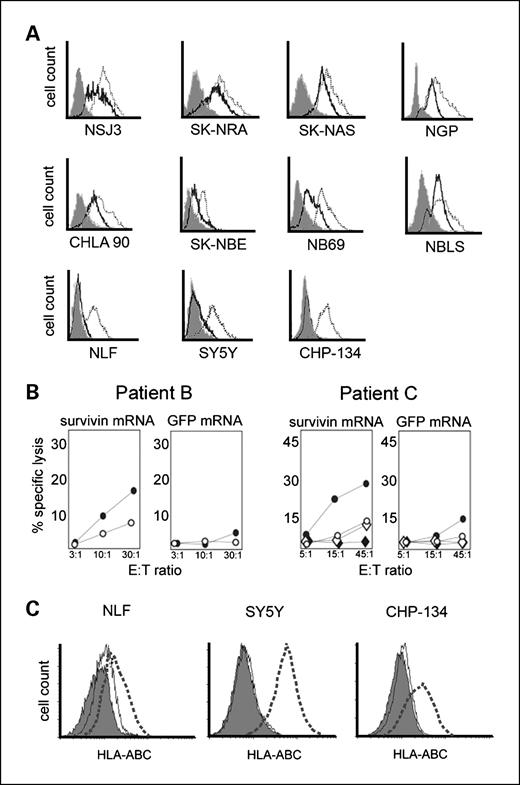 Interferon-γ–Dependent Infiltration of Human T Cells into Neuroblastoma ...