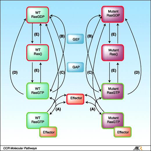 A Systems Perspective of Ras Signaling in Cancer | Clinical Cancer ...